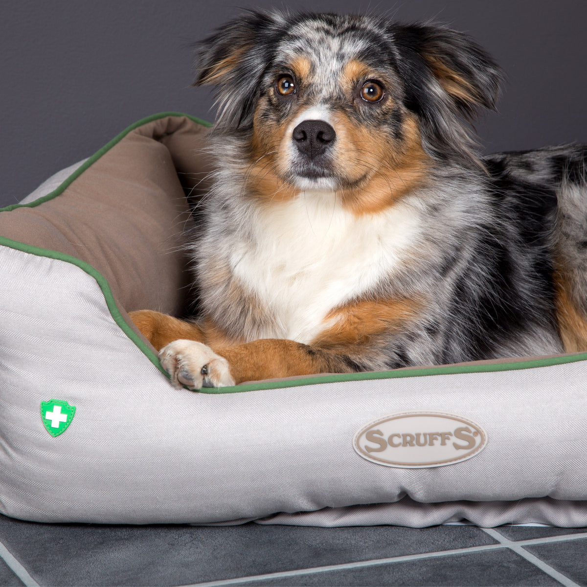 #WIN with Scruffs® this April! – petslovescruffs