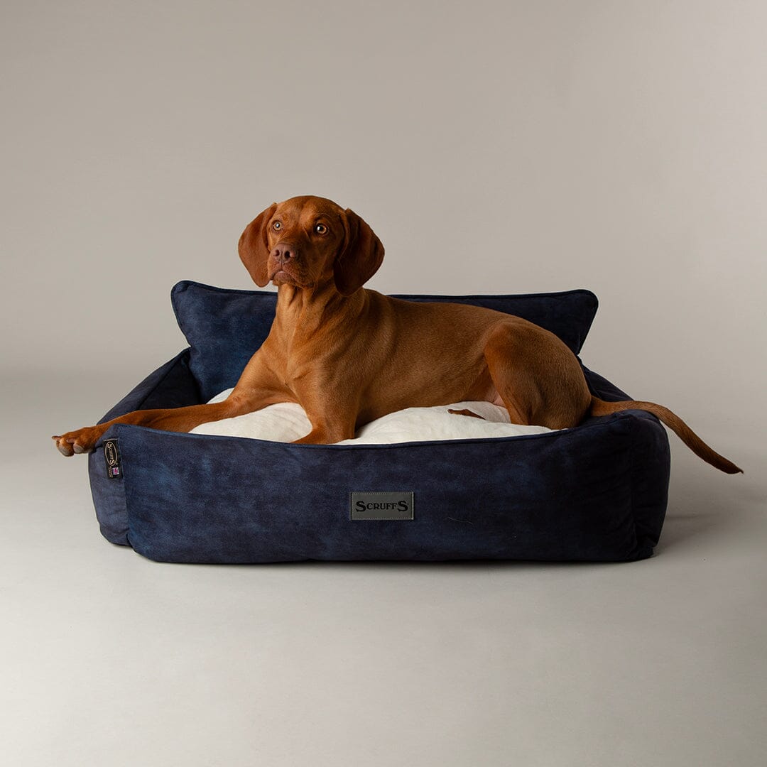 Kensington Dog Box Bed | Navy Blue Dog Beds – petslovescruffs