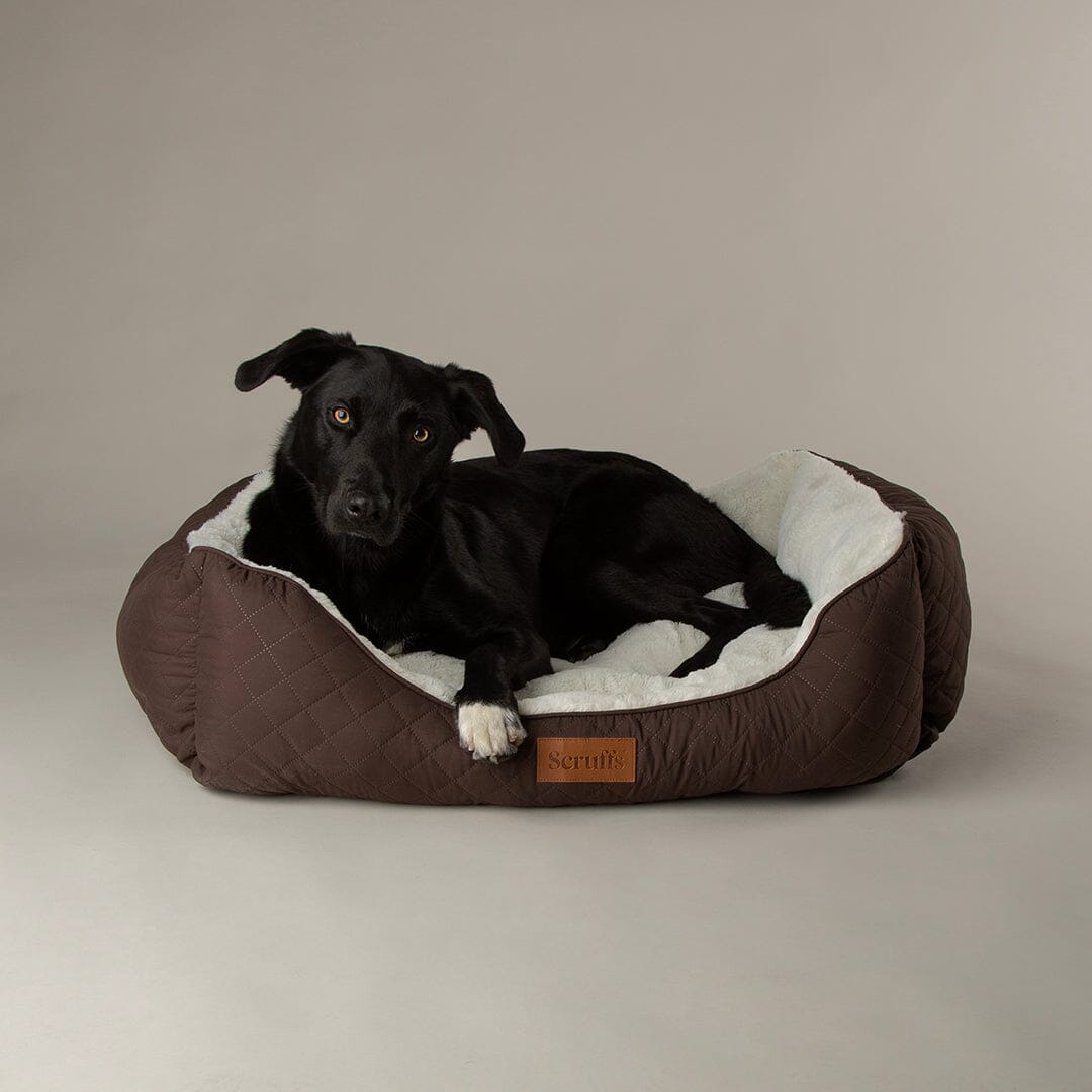 Wilton Dog Box Bed | Brown Dog Beds | Dog Beds – petslovescruffs