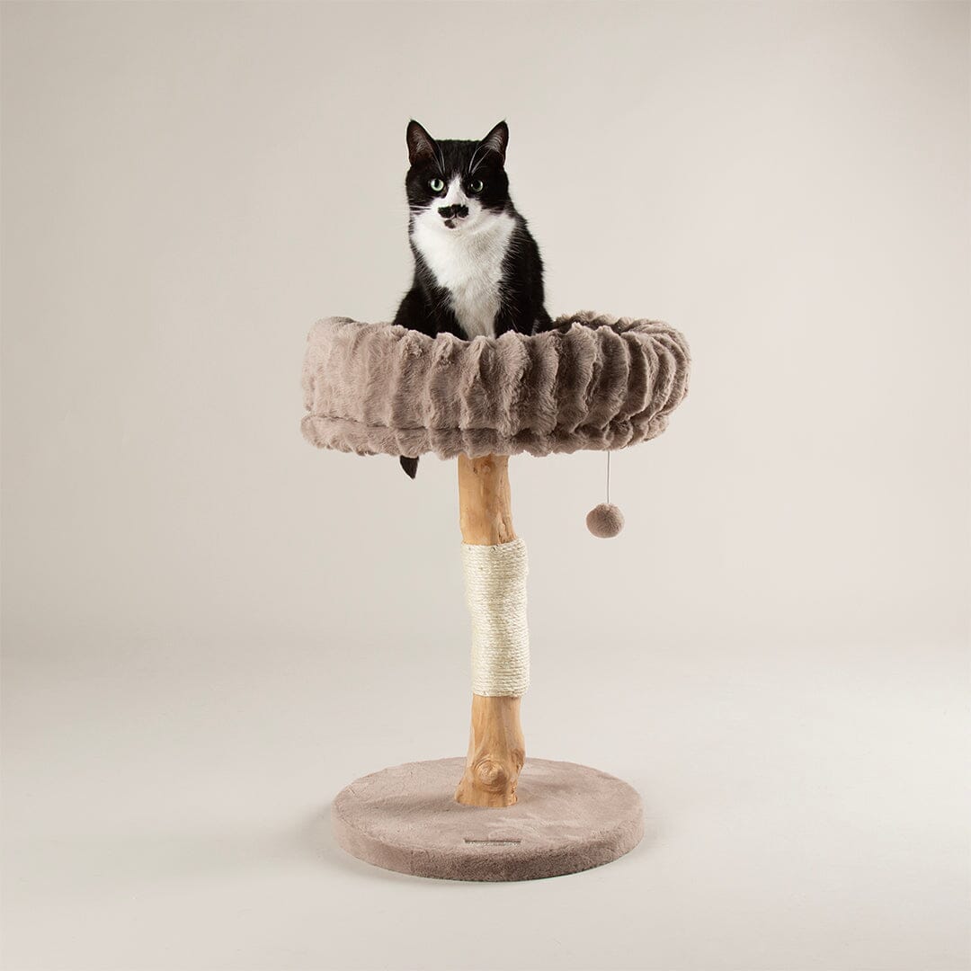 Appalachians Cat Scratcher | Cat Tower | Taupe Cat tree – petslovescruffs