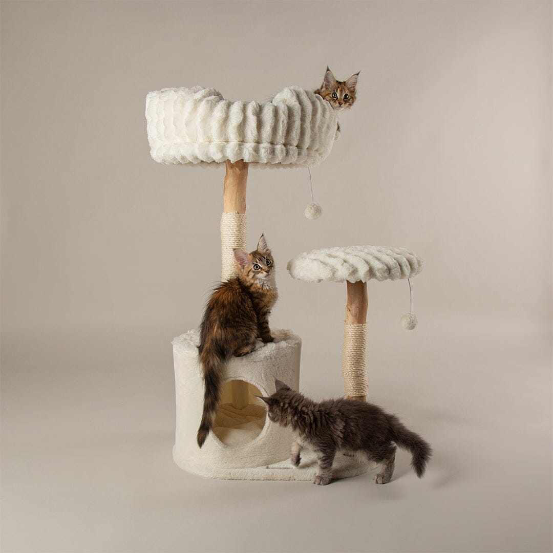 Colorado Cat Scratcher | Cat Tower | Cream Cat tree – petslovescruffs