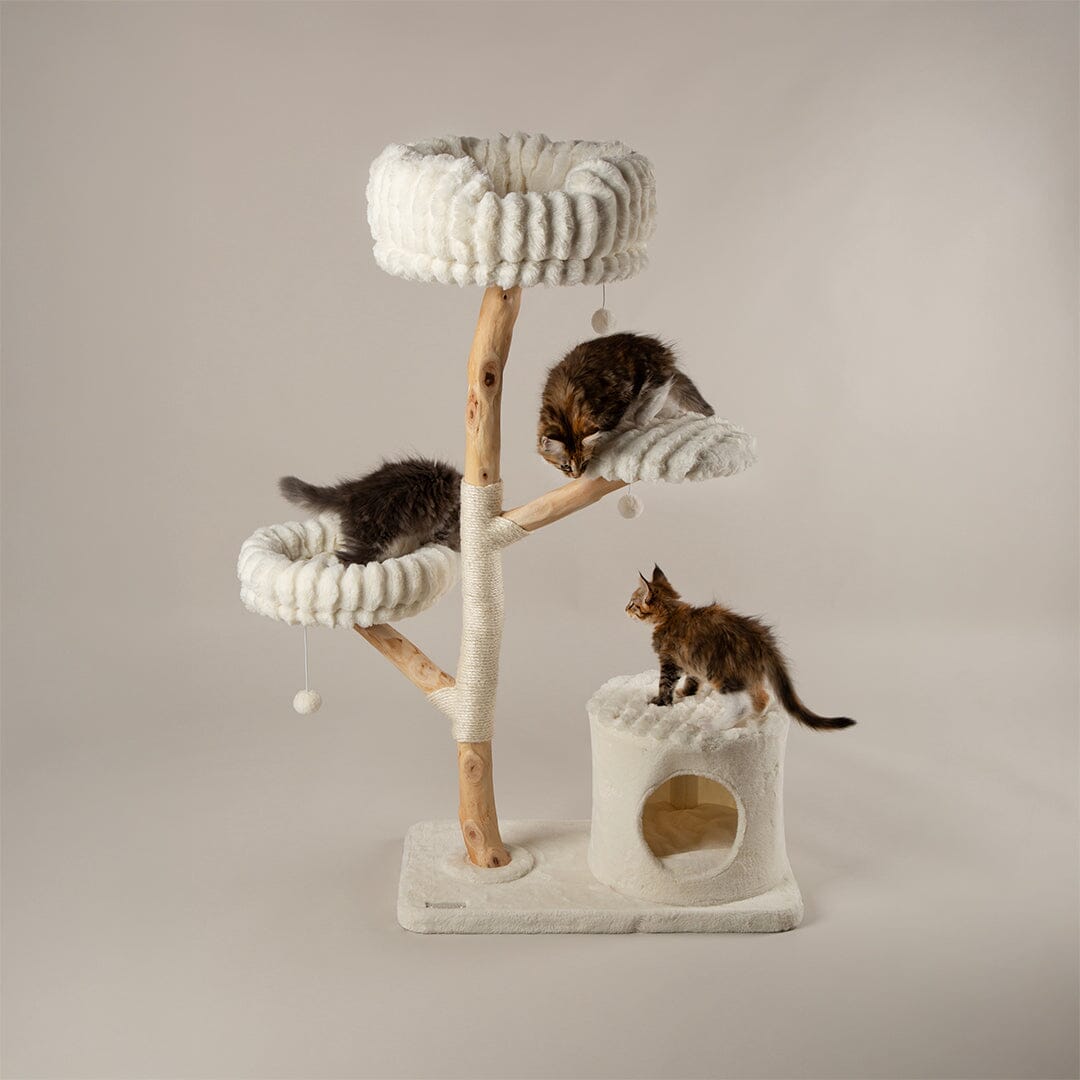 Pyrenees Cat Scratcher | Cat Tower | Cream Cat tree – petslovescruffs