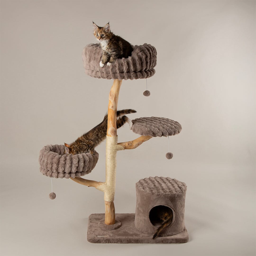 Pyrenees Cat Scratcher | Cat Tower | Taupe Cat tree – petslovescruffs
