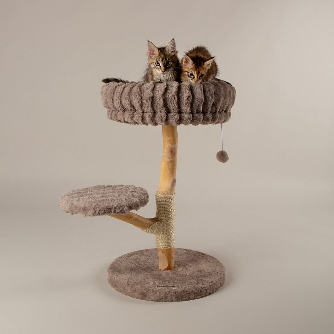 Atlas Cat Scratcher | Cat Tower | Taupe Cat tree – petslovescruffs