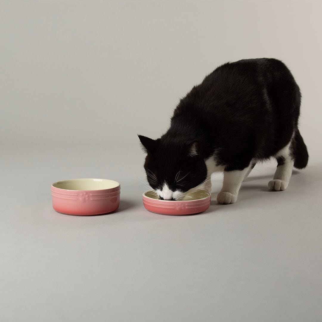 Ombre Cat Food Bowl & Saucer Set | Pink Cat Bowls – petslovescruffs