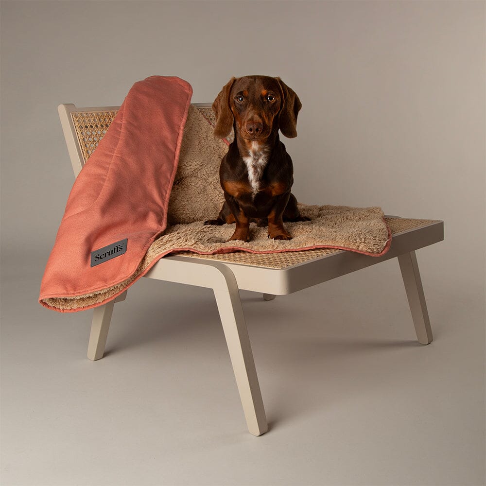 Snuggle Dog Blanket | Terracotta Red Pet Blankets – petslovescruffs
