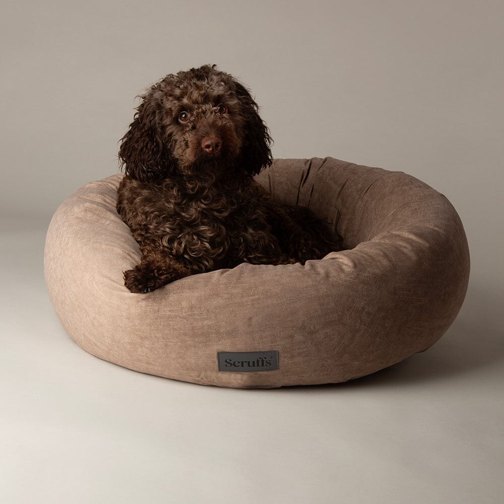 Oslo Ring Dog Bed | Donut Dog Bed | Beige Dog Beds – petslovescruffs