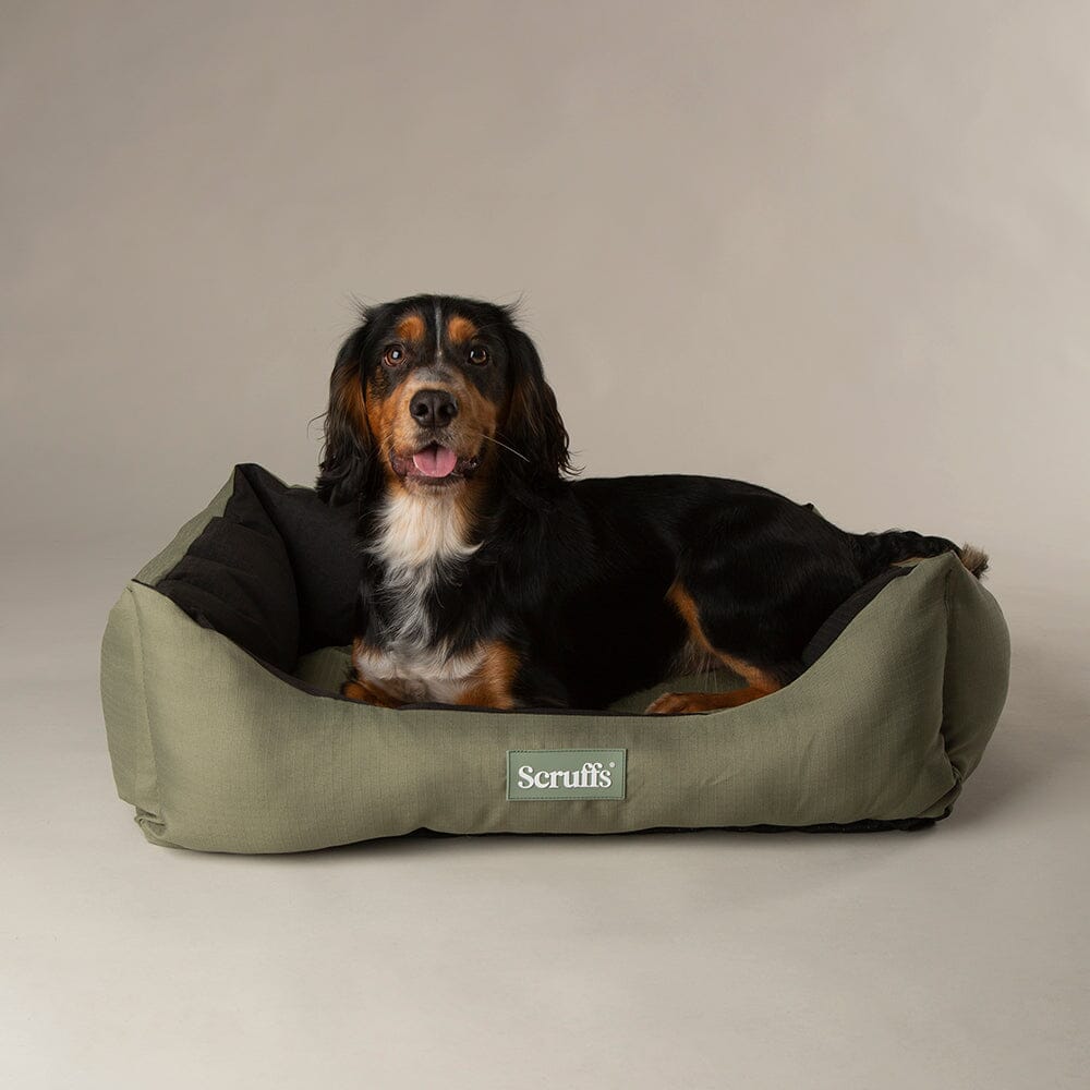 Expedition Dog Box Bed | Green Dog Beds | Scruffs – petslovescruffs