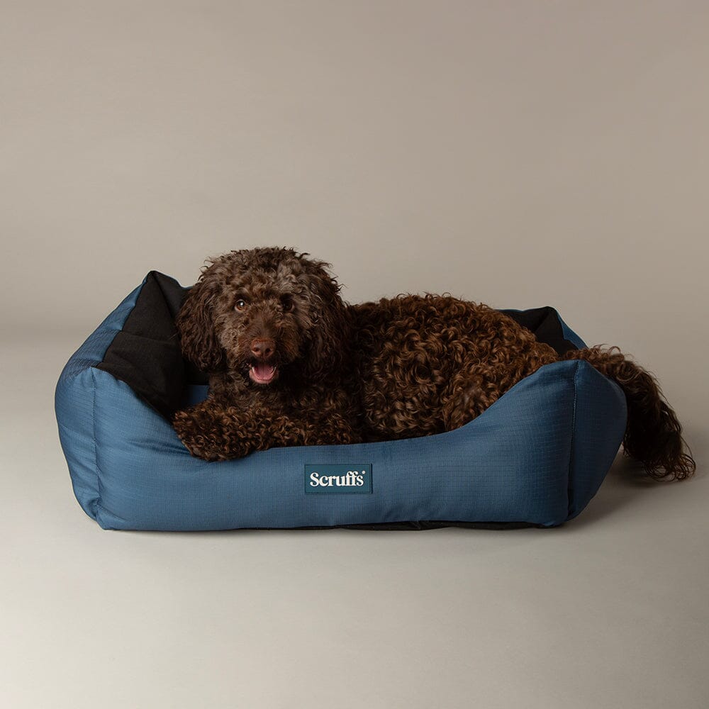 Expedition Dog Box Bed | Blue Dog Beds | Scruffs – petslovescruffs