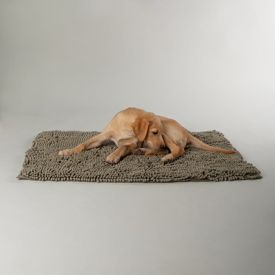 Noodle Dry Dog Mat | Green Dry Mat | Scruffs – petslovescruffs