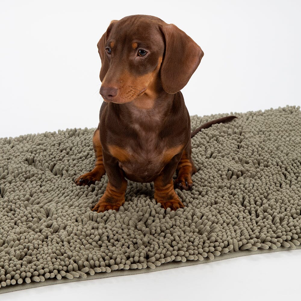 Noodle Dry Dog Mat | Green Dry Mat | Scruffs – petslovescruffs