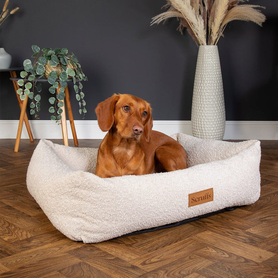 Boucle Dog Box Bed | Ivory Cream Dog Beds | Scruffs – petslovescruffs