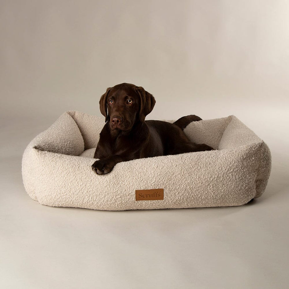 Boucle Dog Box Bed | Ivory Cream Dog Beds | Scruffs – petslovescruffs
