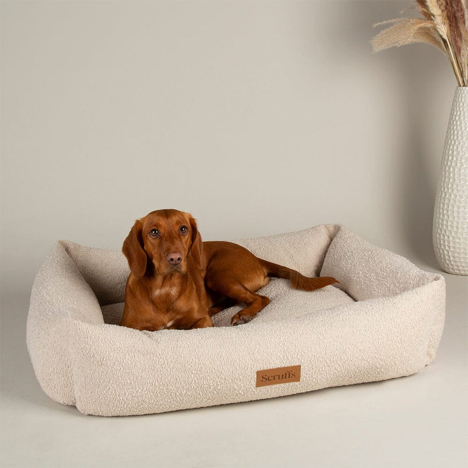 Boucle Dog Box Bed | Ivory Cream Dog Beds | Scruffs – petslovescruffs