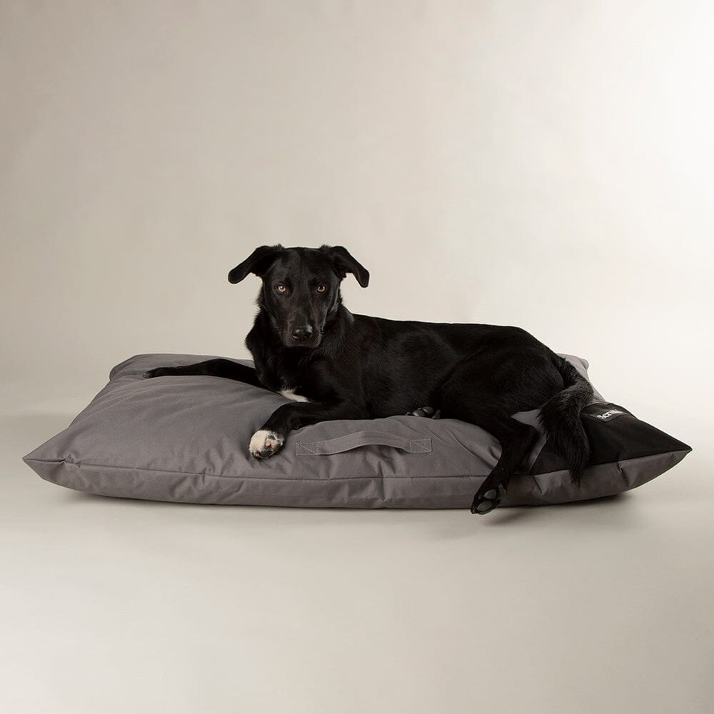Expedition Memory Foam Orthopaedic Dog Bed Pillow - Storm Grey ...