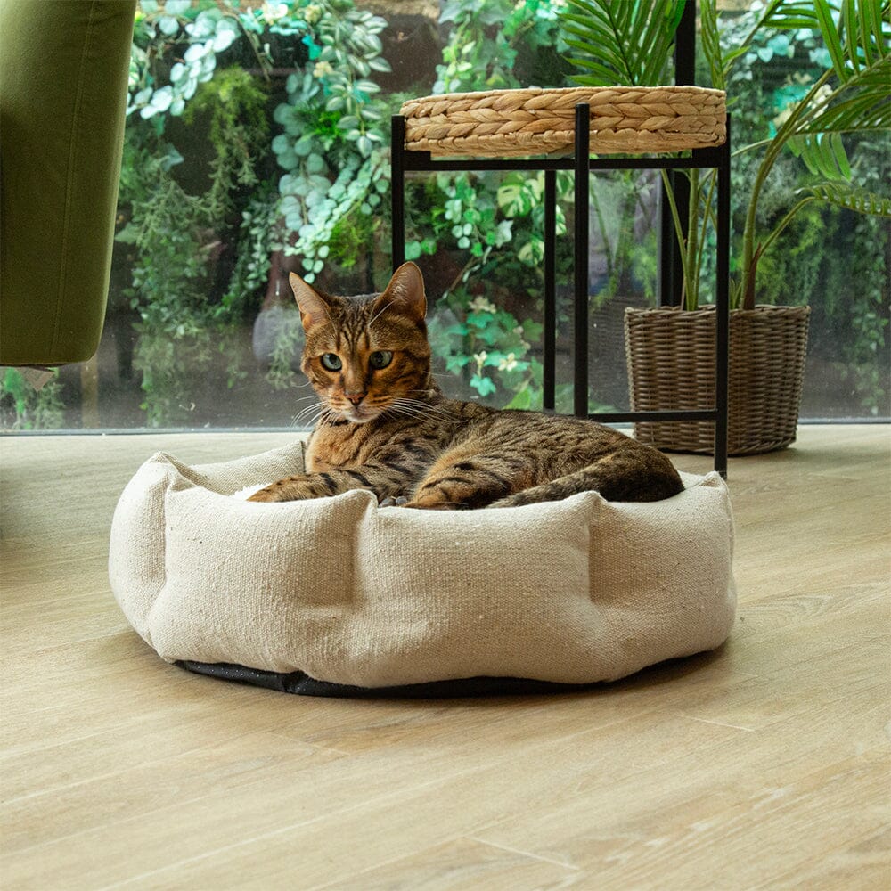 Eden Cat Bed | Cream Cat Beds | 100% Recycled – petslovescruffs