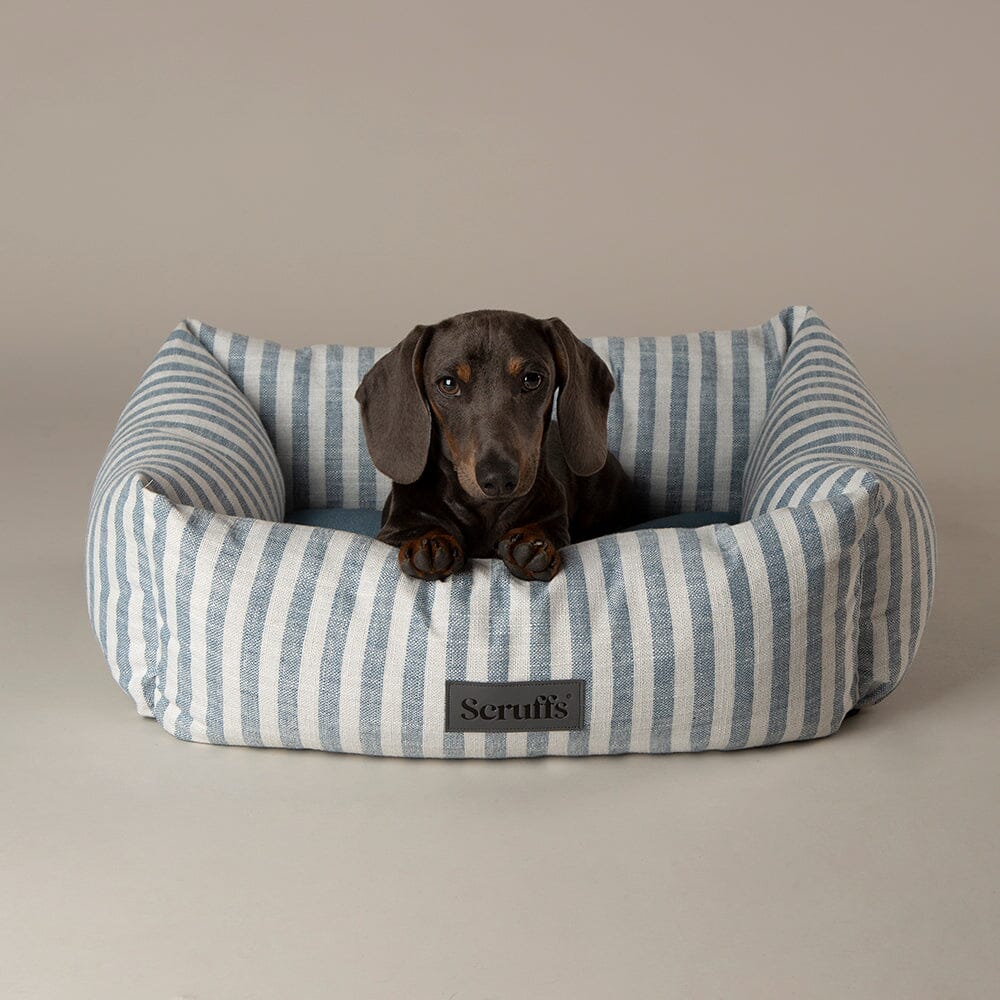 Coastal Dog Box Bed | Blue Dog Beds | Scruffs – petslovescruffs