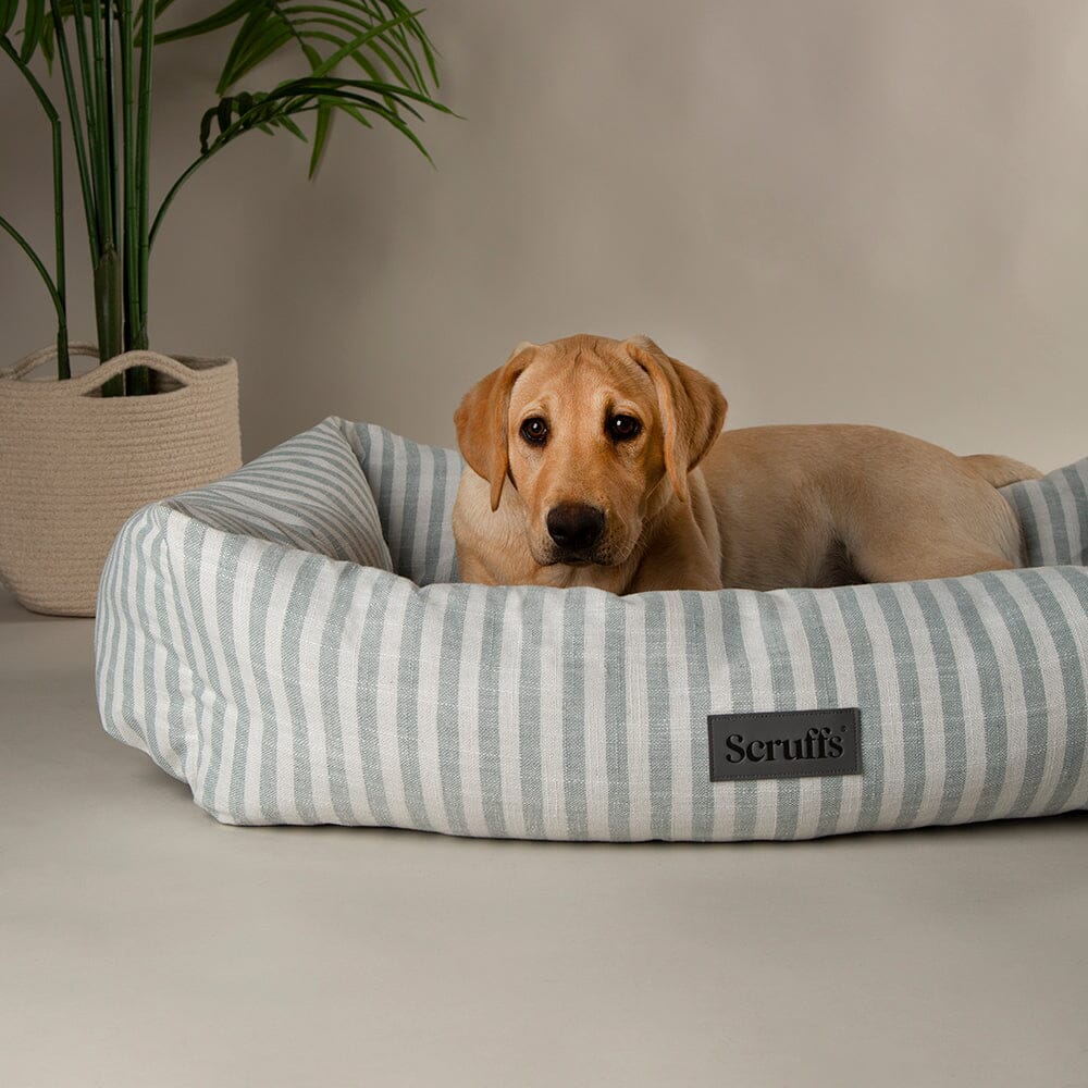 Coastal Dog Box Bed | Green Dog Beds | Scruffs – petslovescruffs