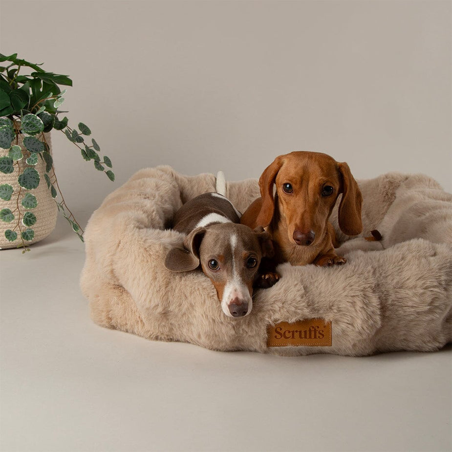 Alpine Dog Box Bed | Cream Dog Beds | Dog Beds – petslovescruffs