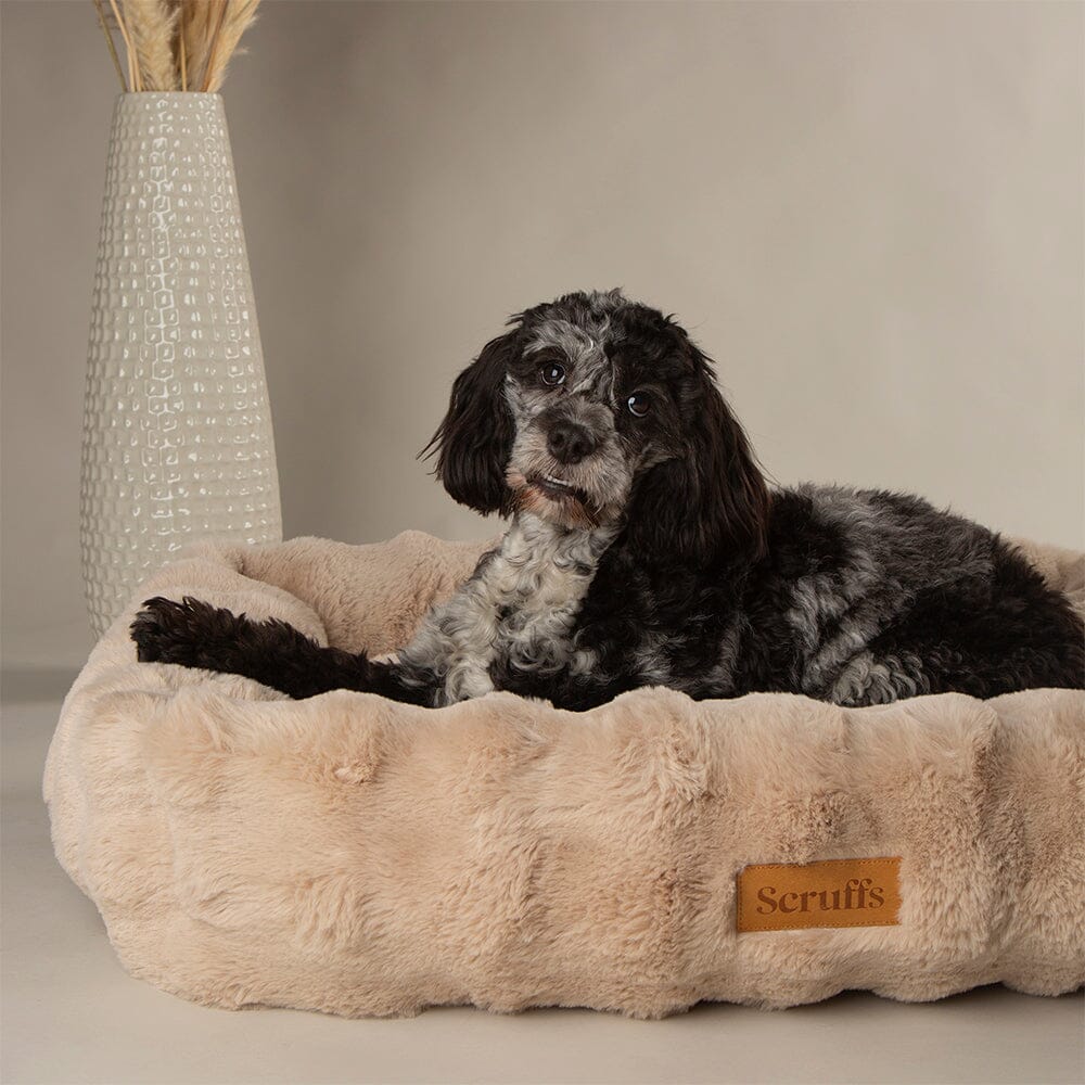 Alpine Dog Box Bed | Cream Dog Beds – petslovescruffs