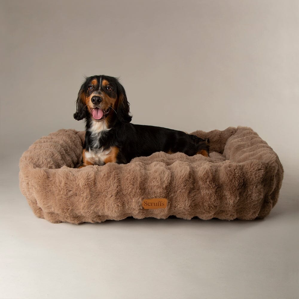 Alpine Dog Box Bed | Beige Dog Beds – petslovescruffs
