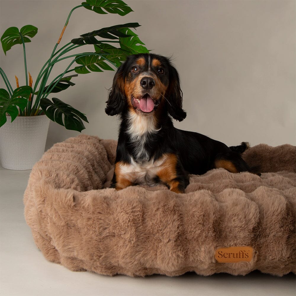 Alpine Dog Box Bed | Beige Dog Beds – petslovescruffs