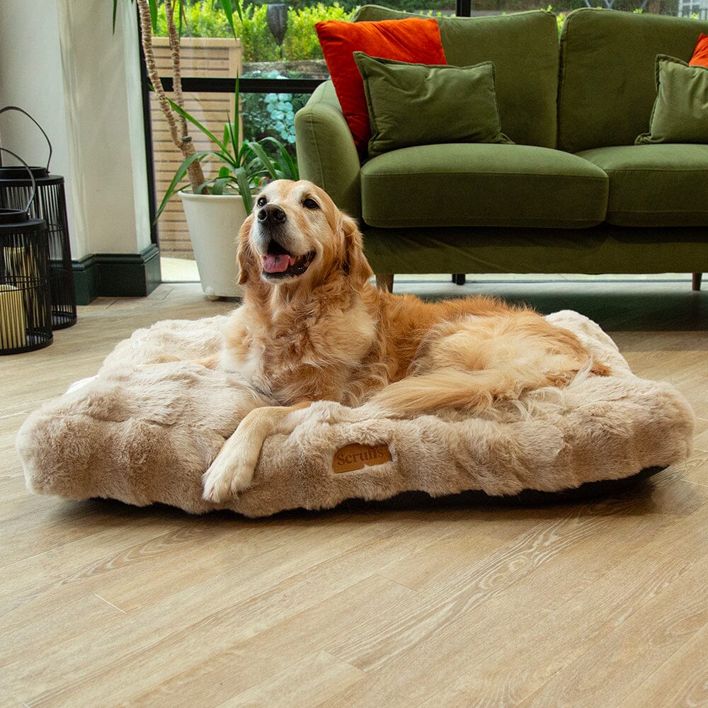 Alpine Dog Mattress | Cream Pet Mattresses – petslovescruffs
