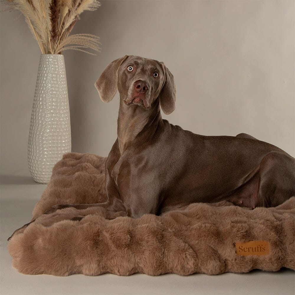 Alpine Dog Mattress | Beige Pet Mattresses – petslovescruffs