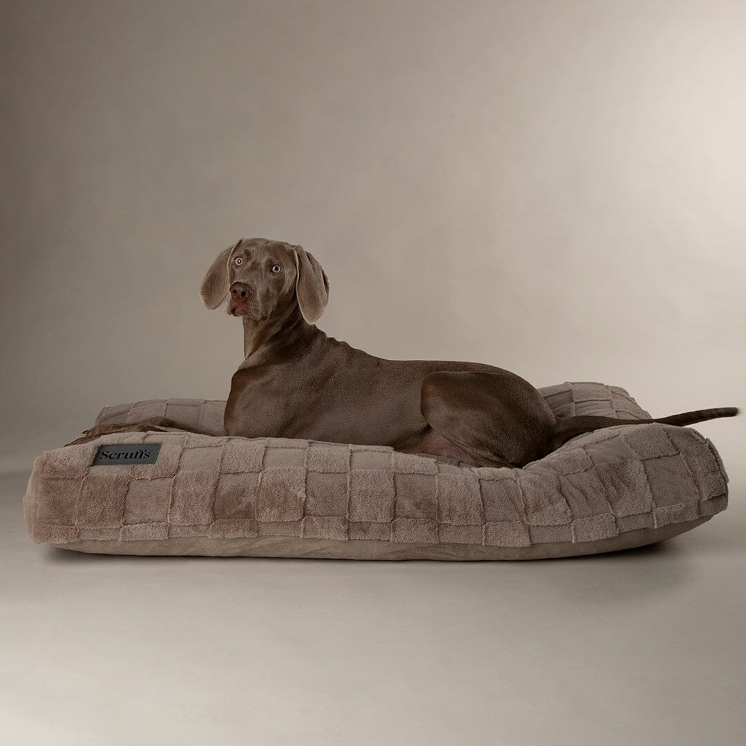 Oxford Orthopaedic Dog Mattress | Silver Dog Beds – petslovescruffs