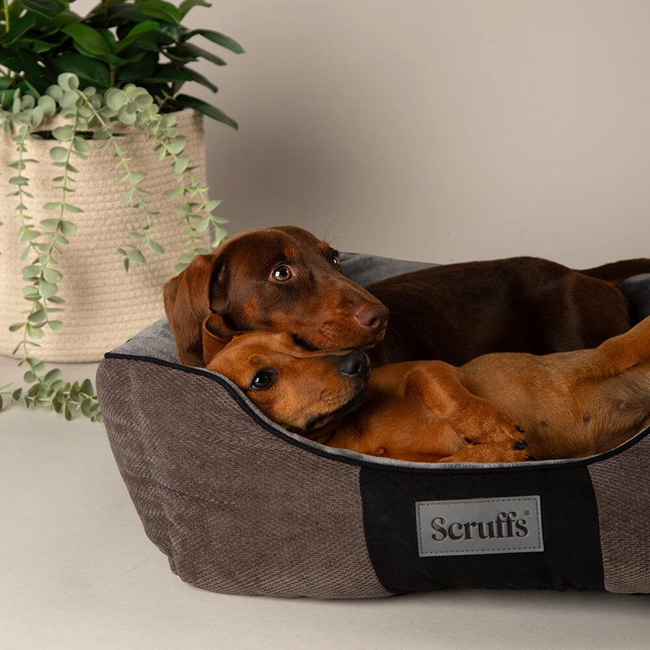 Extra Large Dog Beds | XL Dog Beds | Dog Beds – petslovescruffs