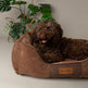 Chester Box Dog Bed | Brown Dog Beds | Scruffs – petslovescruffs