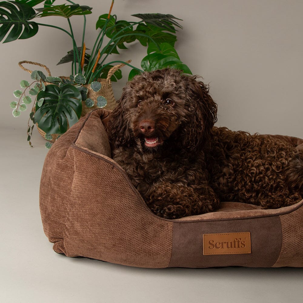 Chester Box Dog Bed | Brown Dog Beds | Scruffs – petslovescruffs