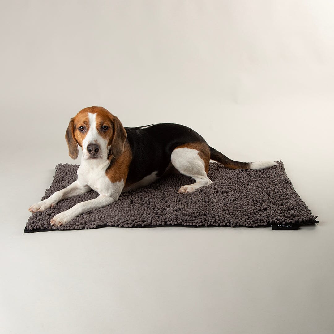 Noodle Dry Dog Mat | Grey Dry Mat | Scruffs – petslovescruffs