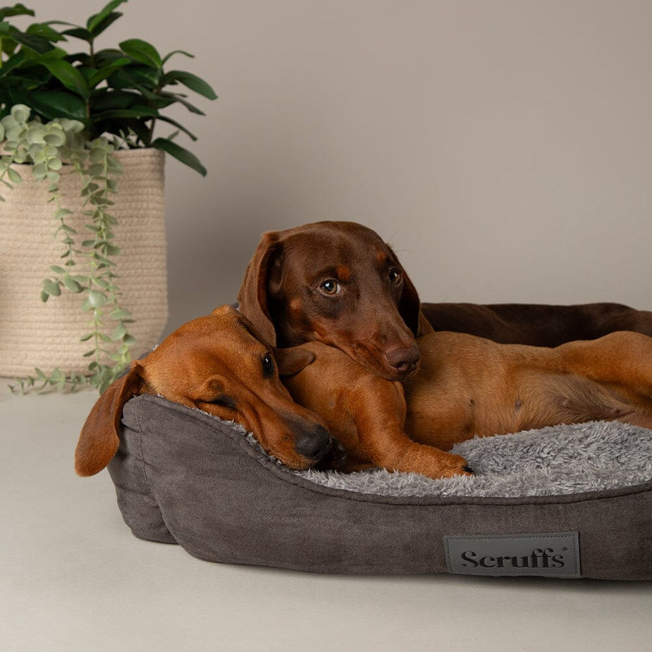 Cosy Soft-Walled Dog Bed | Grey Pet Beds | Scruffs – petslovescruffs