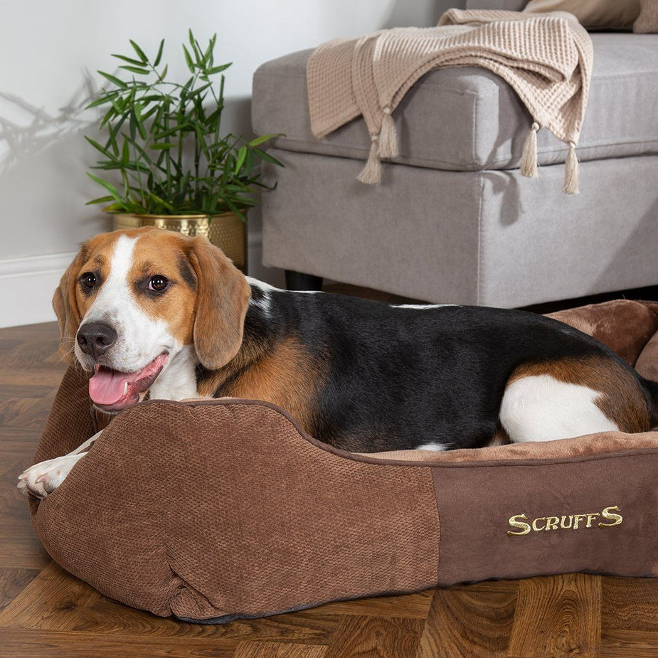 Chester Box Dog Bed | Brown Dog Beds | Scruffs – petslovescruffs