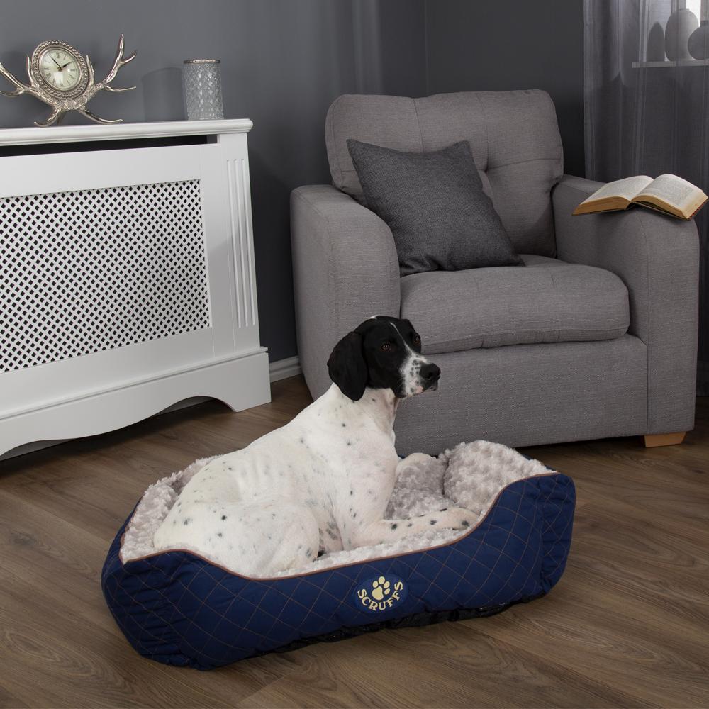 Wilton Dog Box Beds | Blue Dog Beds | Scruffs – petslovescruffs