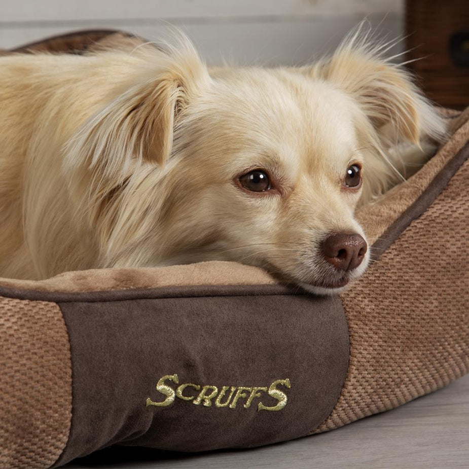 Chester Box Dog Bed | Brown Dog Beds | Scruffs – petslovescruffs